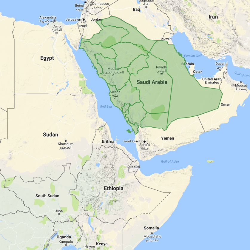 GeoPuzzle - Geographical game of Saudi Arabia