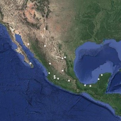 GeoPuzzle - Geographical game of Mexico