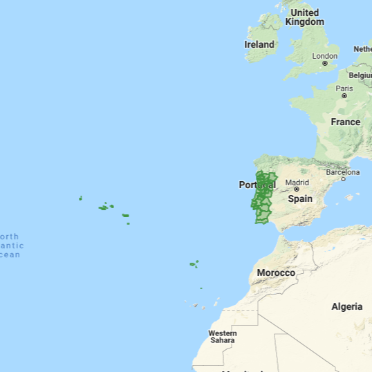 GeoPuzzle - Geographical game of The Portuguese Challenge ...